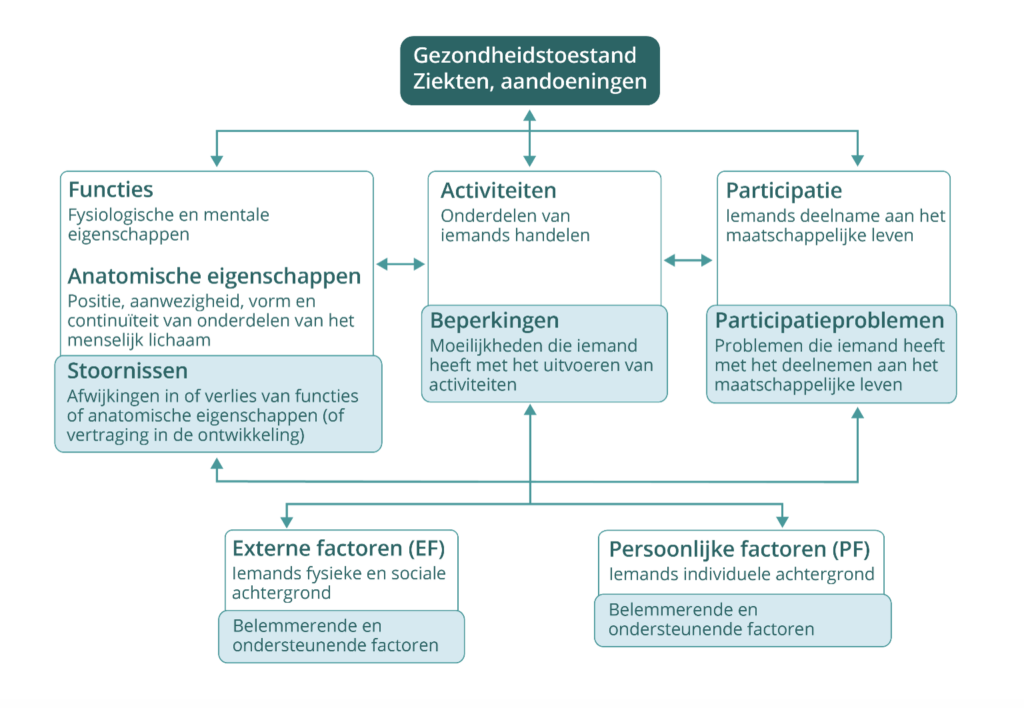 Denkkader: ICF-CY – Prodia